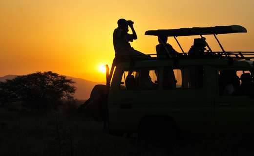 Game drives in Serengeti, wildlife safari in Tanzania, Tanzania ...